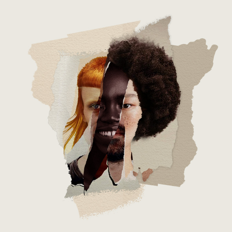 About Us - Shape History