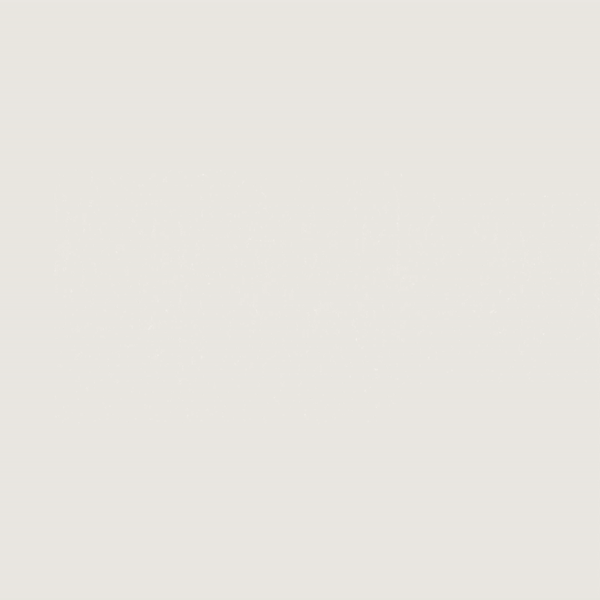 About Us - Shape History